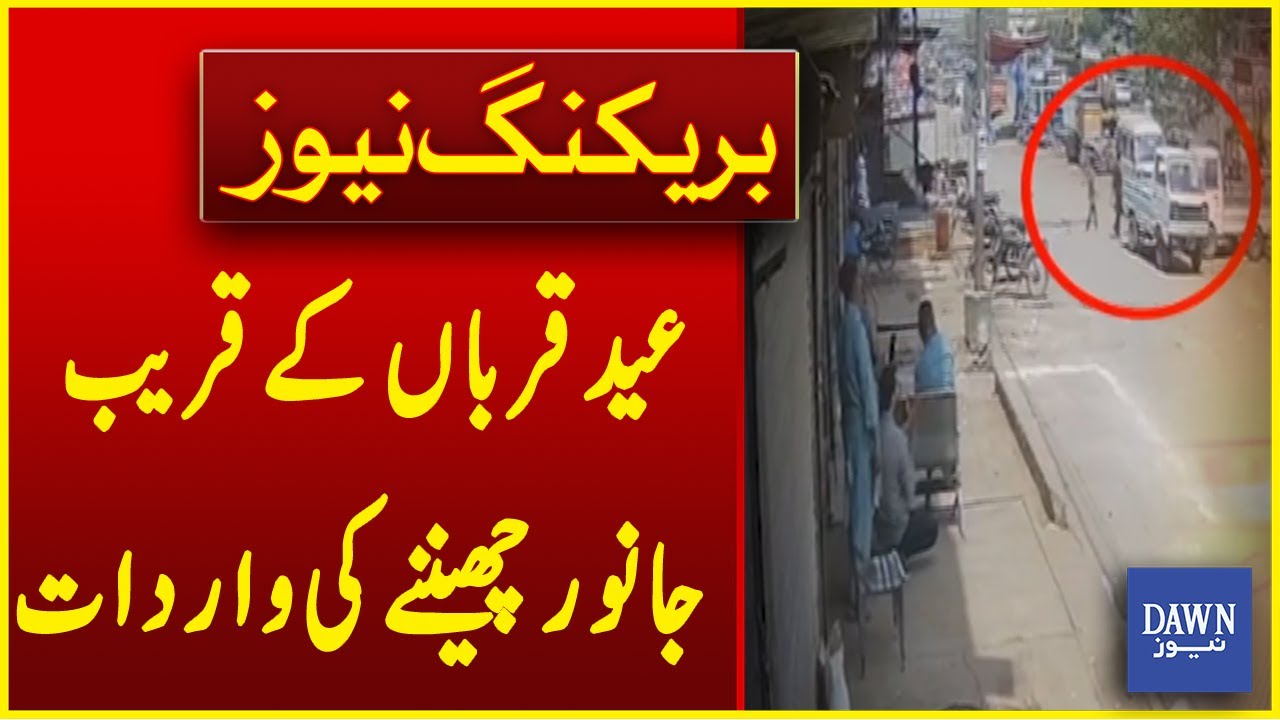 Eid al-Adha Scandal: Animals Snatched from Owners in Broad Daylight ...