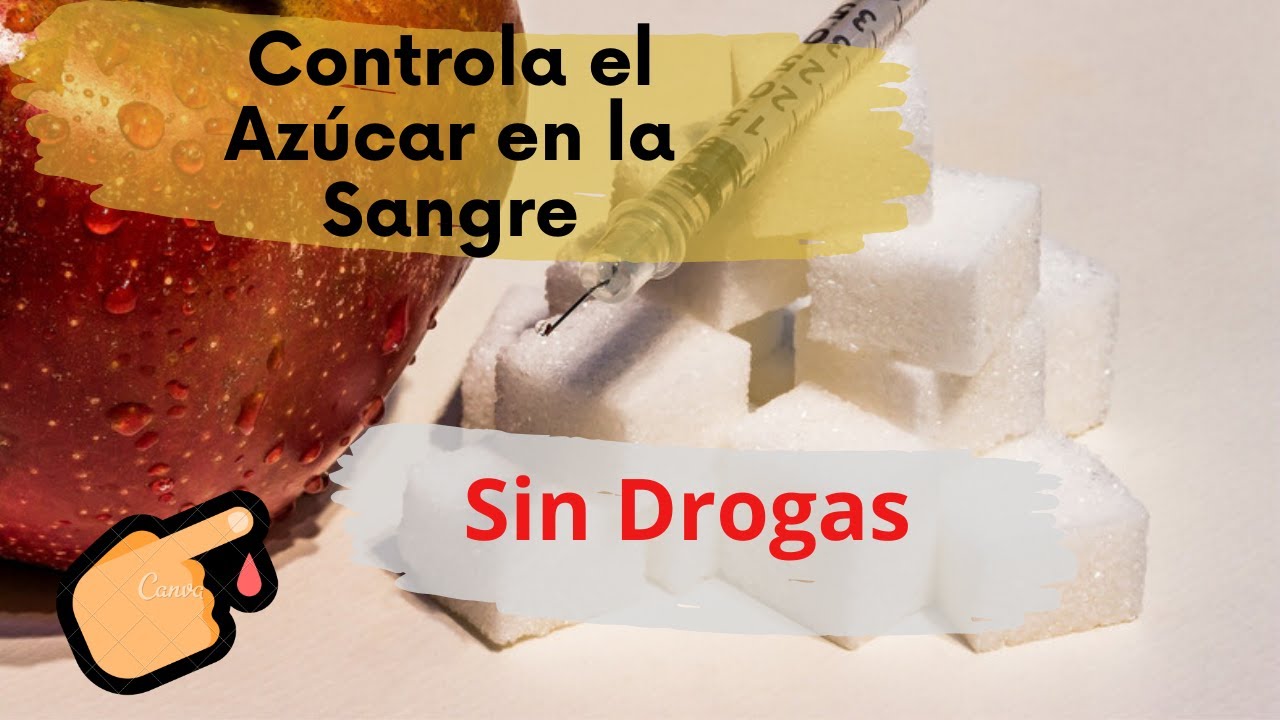 Como CONTROLAR EL AZÚCAR EN LA SANGRE en la Diabetes tipo 2 Sin el Uso ...