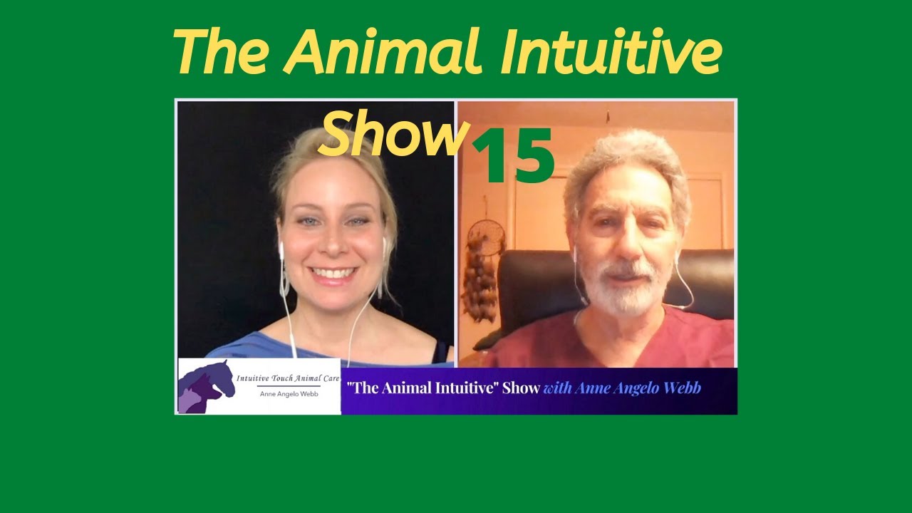 Dr. Gerald Buchoff | Part II Help Your Pets Live Longer & Healthier | 15 - YouTube