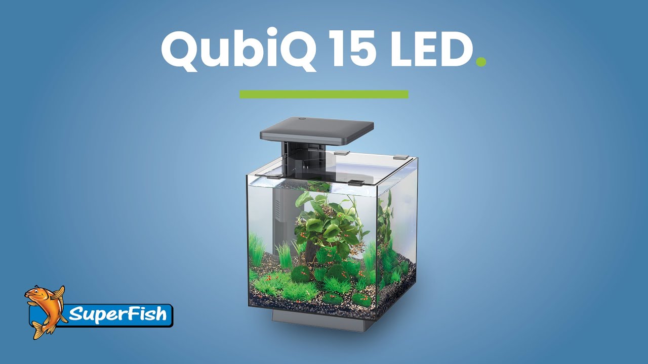 SuperFish | QubiQ 15 - YouTube