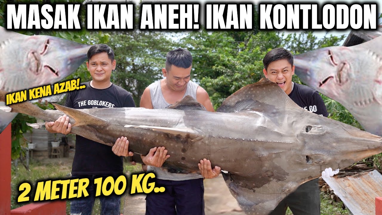 MUKBANG IKAN AZAB RAKSASA! WARGA PADA NOLAK GAK MAU MAKAN! - YouTube