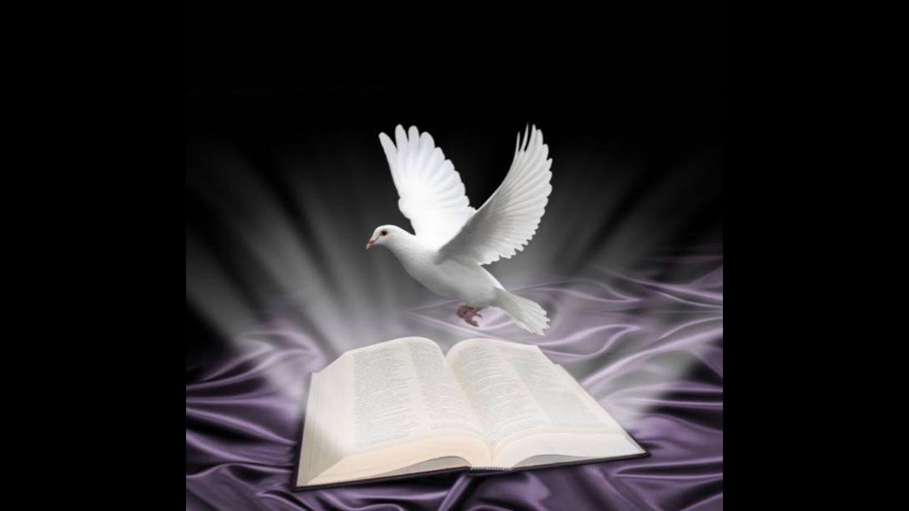 LIVE CU: LUCIAN TUGUI I Moderator: Florin PETER - YouTube