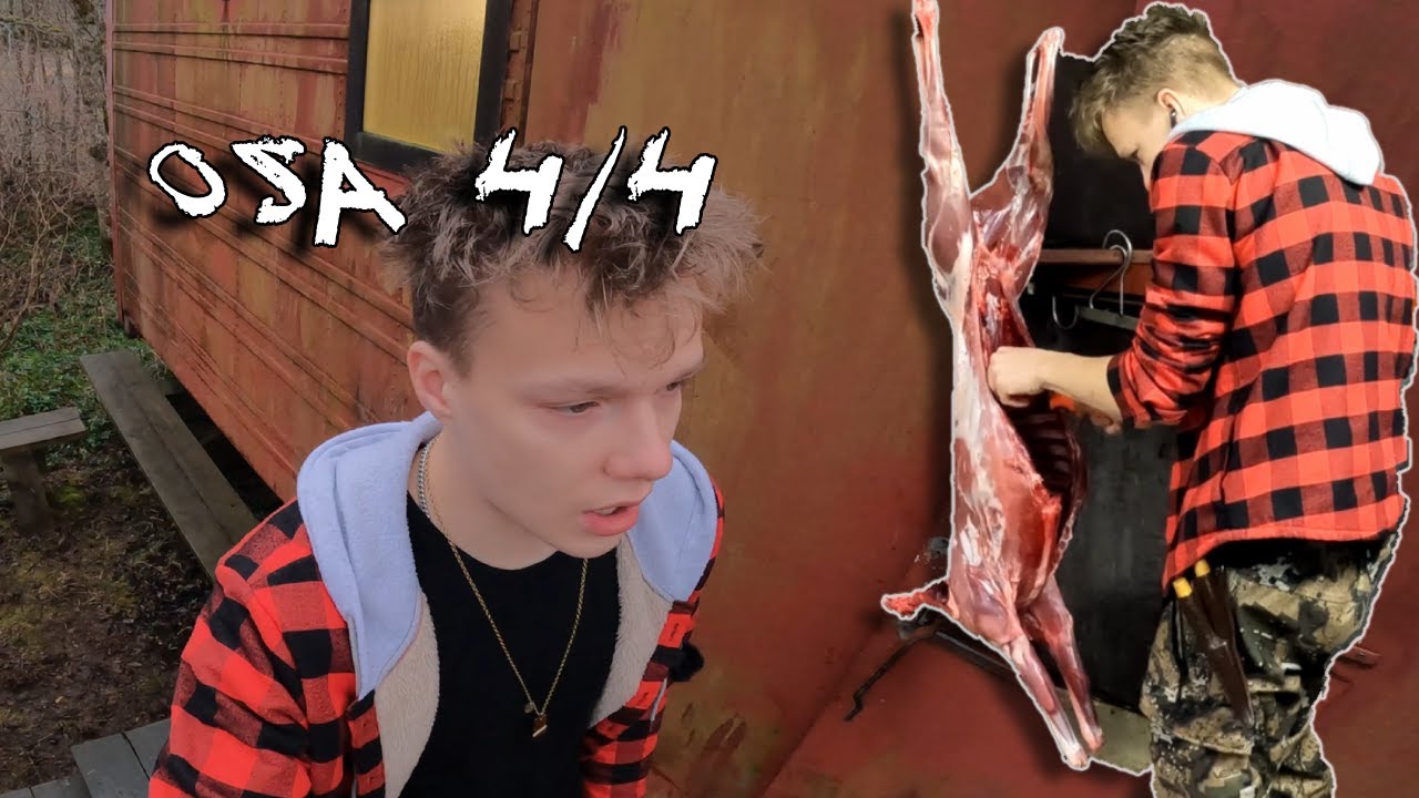 AHVENANMAALLA KAURIIN METSÄSTYSTÄ 4/4 ¨paloitellaan kauriit¨ - YouTube
