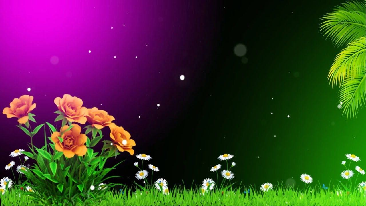 Flower Green Screen Background Video Effects | Green Screen Video - YouTube