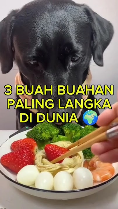 3 BUAH-BUAHAN PALING LANGKA DI DUNIA #shortvideo #buah #faktaunik #shorts #faktaunik #faktadunia ...