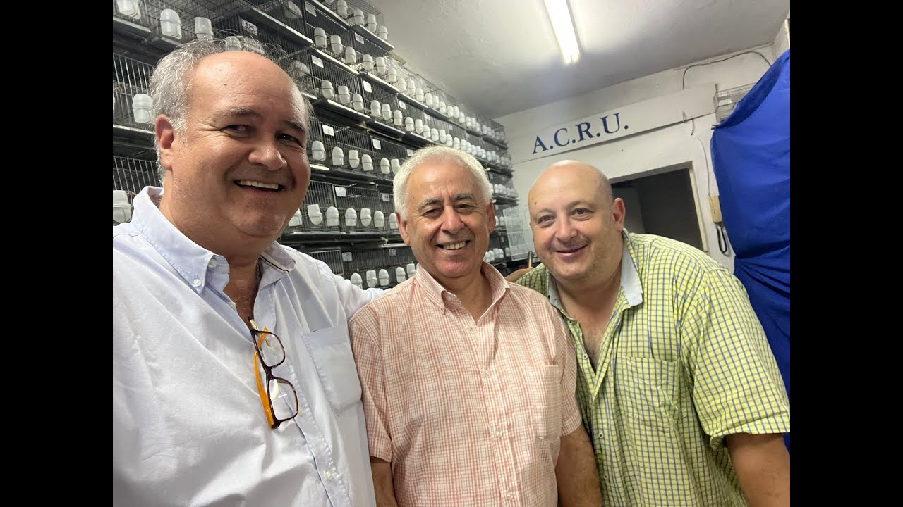 HABLANDO DE AVES -- 970 UNIVERSAL -- EN VIVO. - YouTube