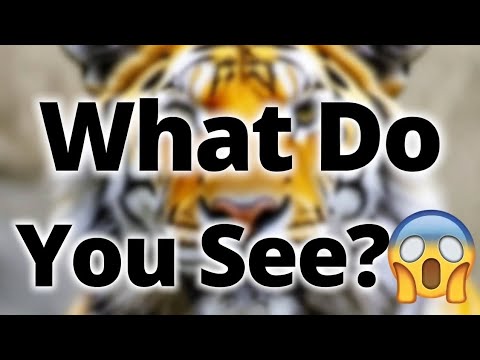 What Do You See First? This Illusion Reveals Your Brain Type 🤯 - YouTube