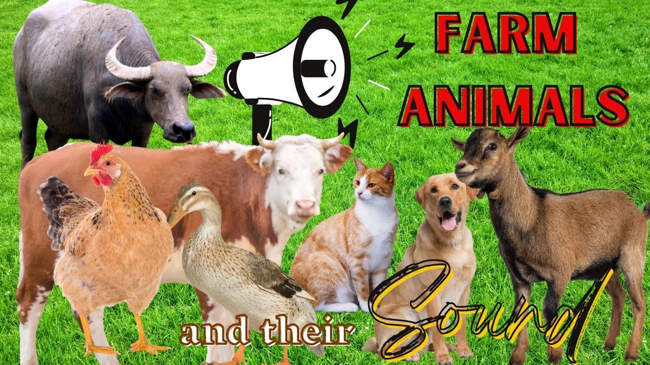 CUTE LITTLE ANIMALS : COW, PIG, CAT, DOG, CHICKEN, GOAT, CARABAO ...