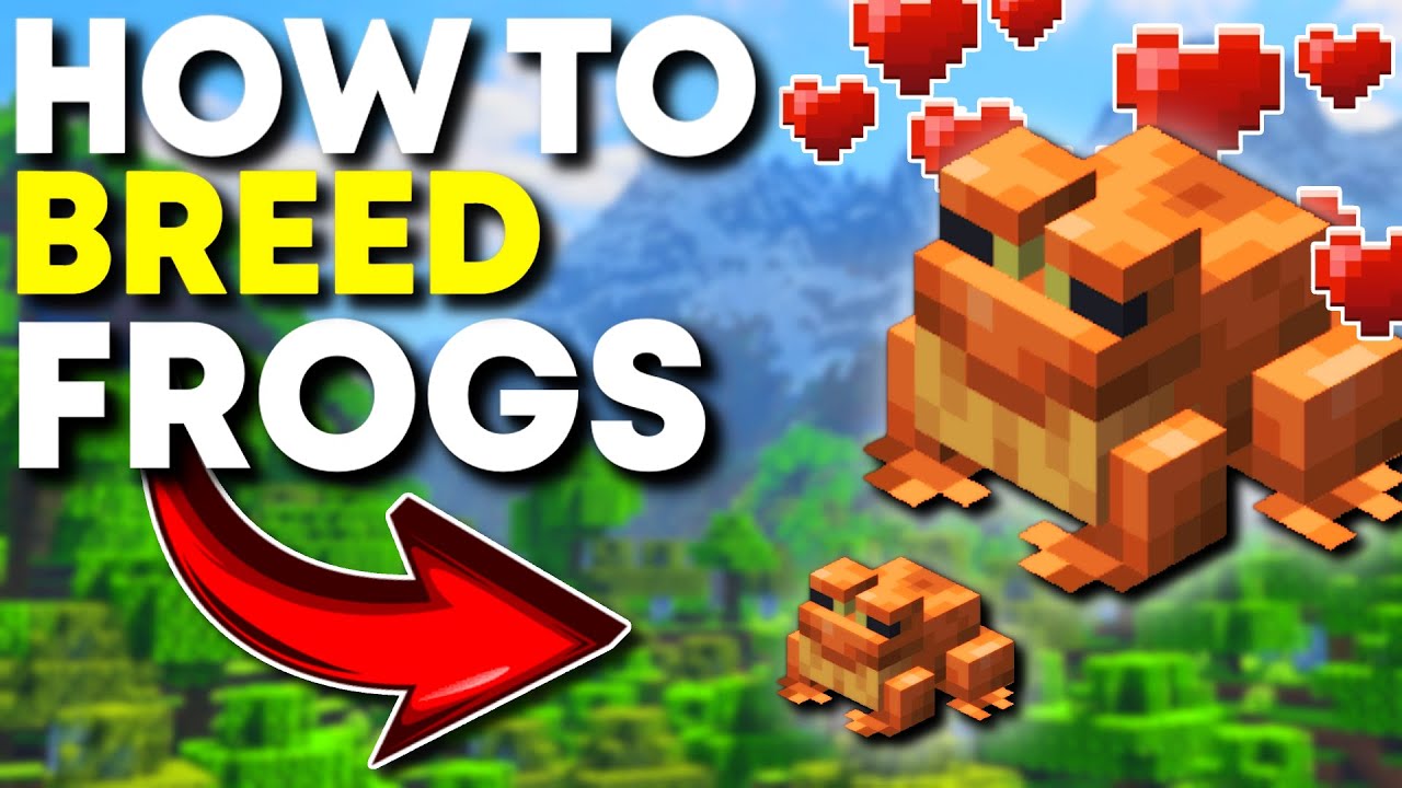 How to Breed Frogs in Minecraft (Quick Guide!) All Versions! - YouTube