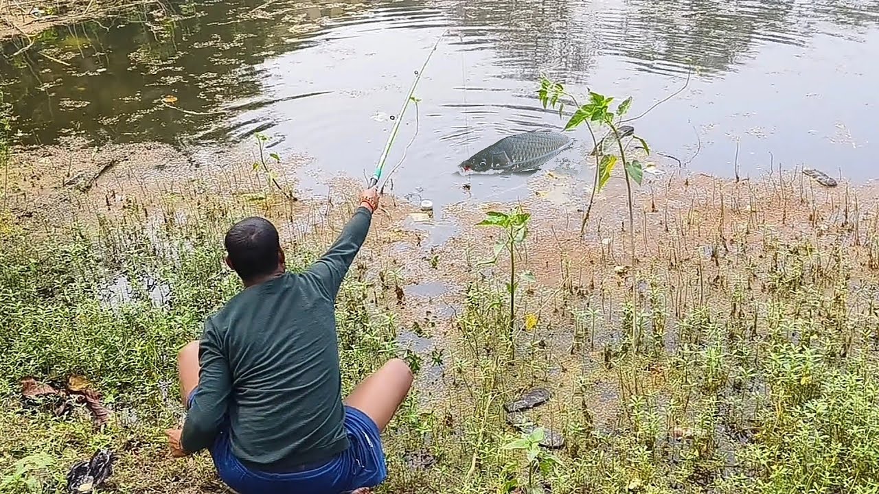 fishing videos ! best carp fishing video in lots pond ! amazing fishing ...