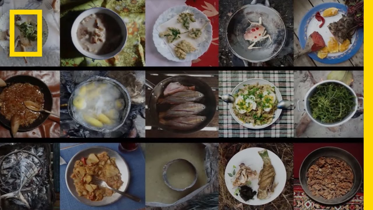 Why Food Matters Now More Than Ever | Future of Food - YouTube