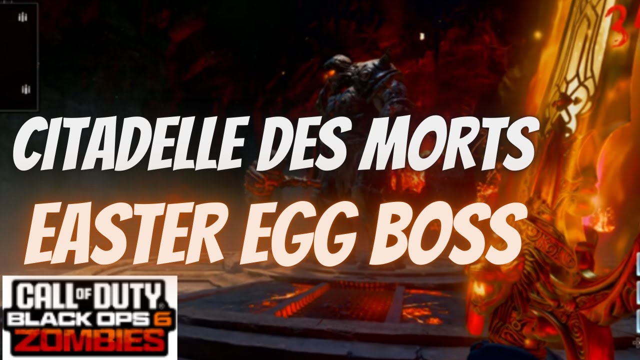 Black Ops 6 Zombies- SOLO The Citadelle Des Morts Easter Egg Final Boss ...