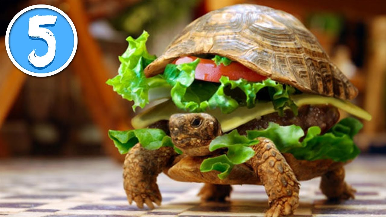 5 CIBI STRANI E DISGUSTOSI NEI FAST FOOD!! - YouTube