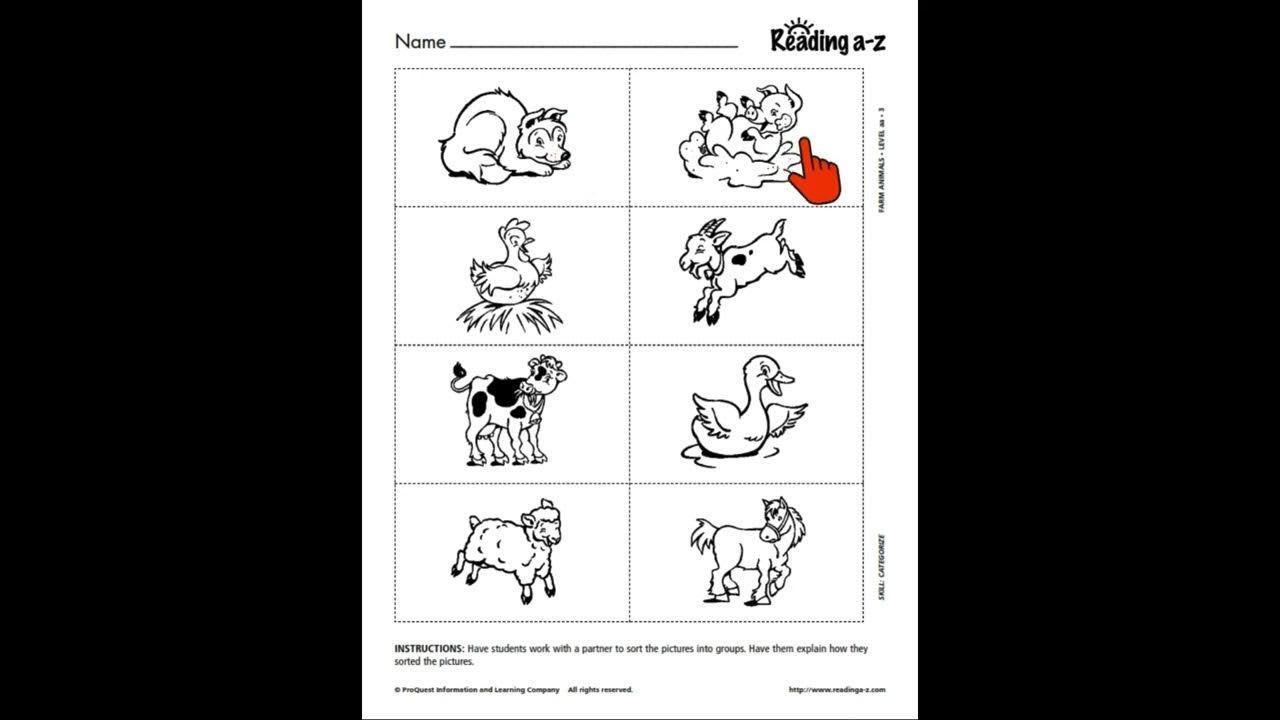 3A. Farm Animal Activities - YouTube