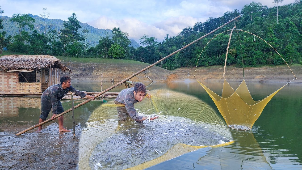 Make nets and set traps to attract many fish in the river | Solo ...