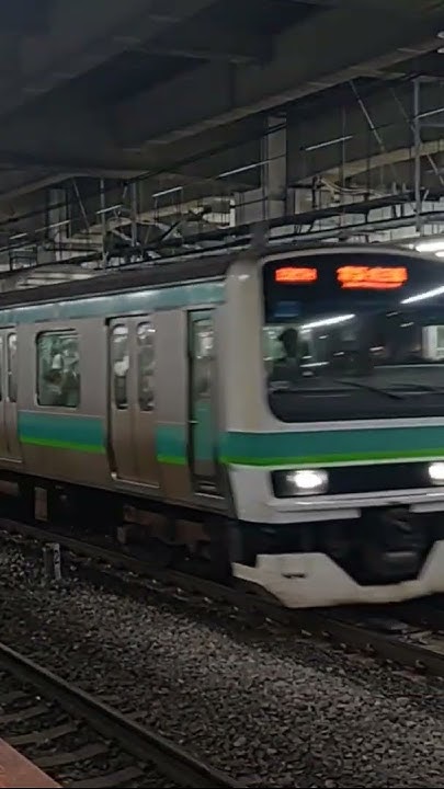 E231系0番台成田行き 北千住駅発車 #e231系0番台 - YouTube