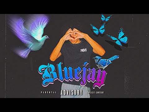 Bluejay! (Official Music Video) - YouTube