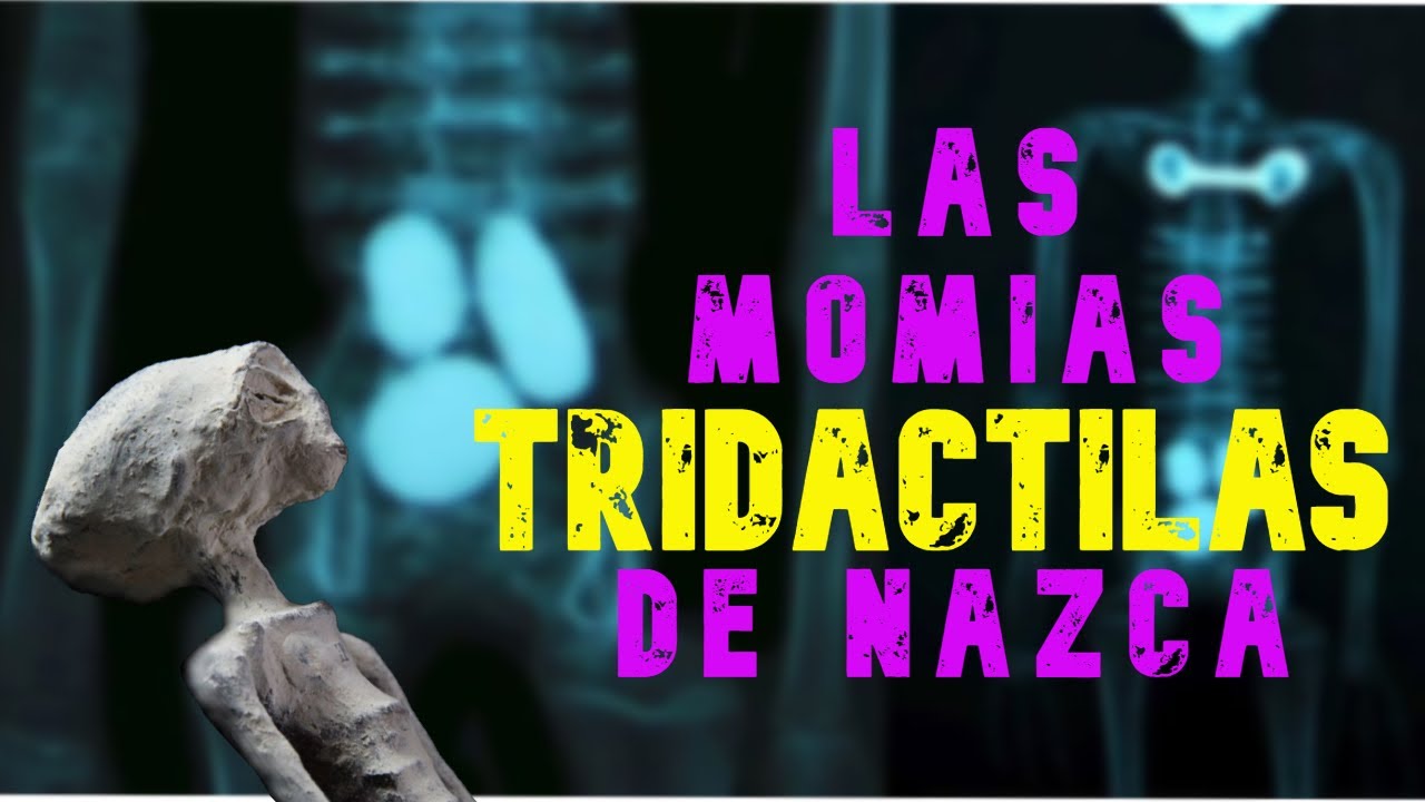 LAS MOMIAS DE NAZCA - EVIDENCIA DE HUMANOIDES TRIDACTILOS SERES ...