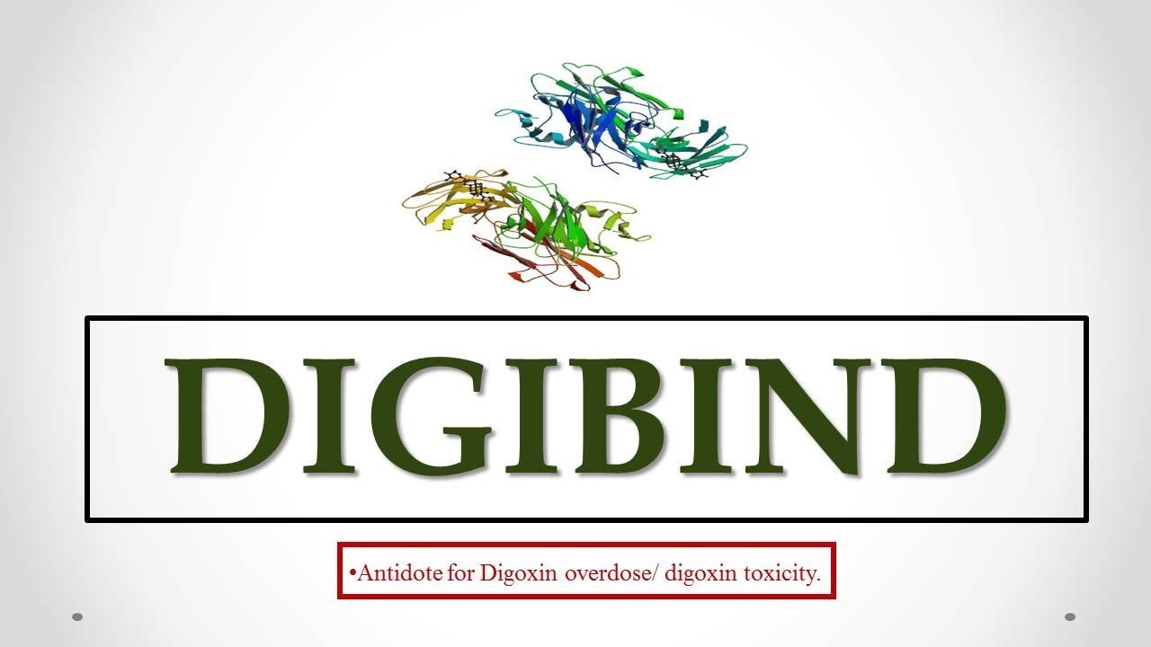 Digibind uses, antidote effects, mechanism, indications and ADR's ☠ ...