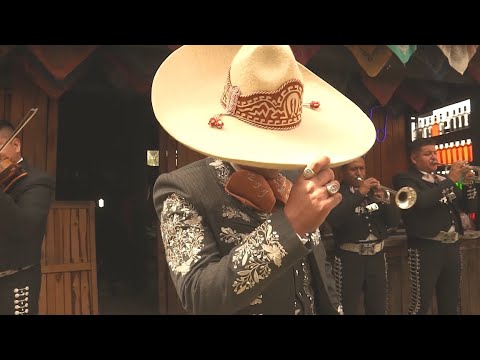 Enrique Llinas - El todas mías