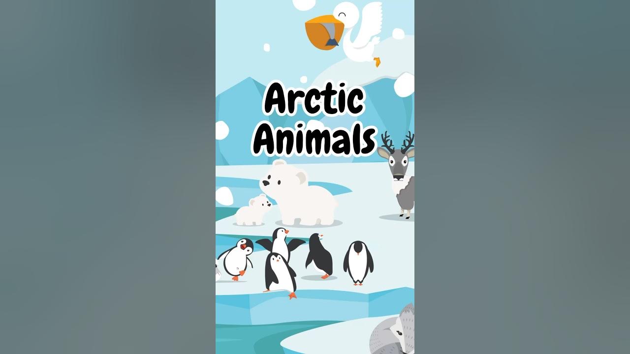 Penguins | Arctic Animals | Winter #preschool #arcticanimals #penguins ...