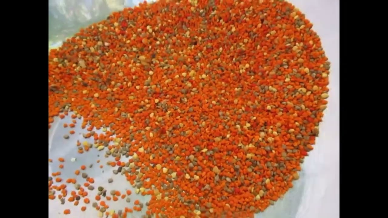 POLLEN TRAPS ARE ON COLLECTING POLLEN DRYING POLLEN - YouTube