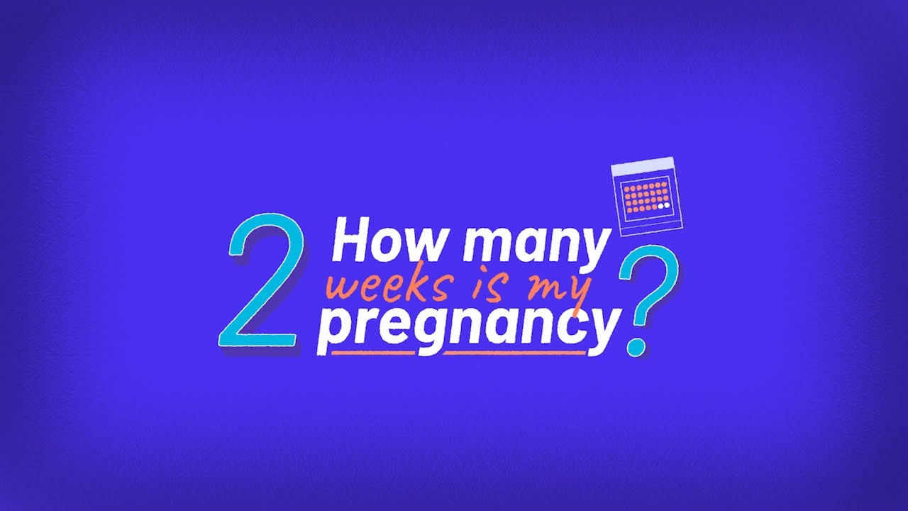 Self Managed Abortion How Many Weeks Pregnant Am I Episode 2 YouTube self-managed-abortion-how-many-weeks-pregnant-am-i-episode-2-youtube