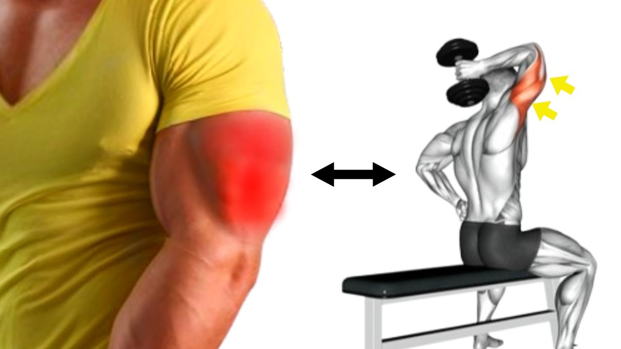 5 killer exercises for massive triceps - ultimate triceps workout - YouTube