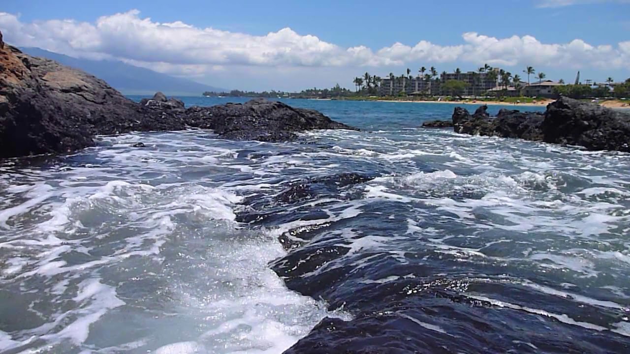 2 Hours CORAL REEF TIDE POOL WAVES 🌊 - The Tide Pools - Coral Reef ...