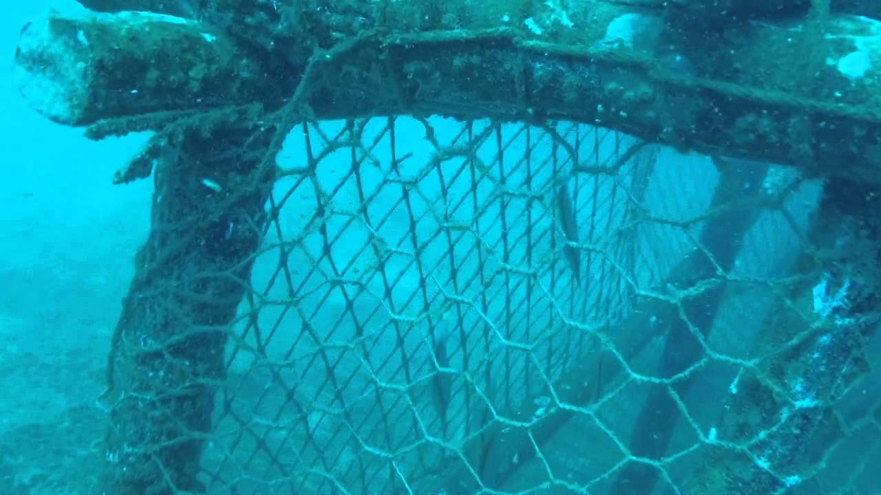 Koh Tao diving, illegal fish trap rescue (part 2) - YouTube