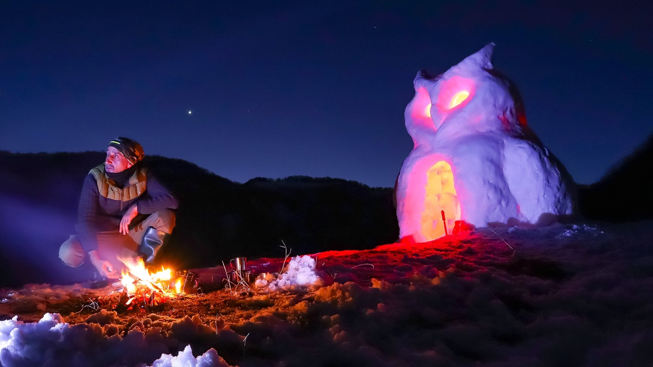 OWL shelter. Winter survival bushcraft camping. Wild art and relaxing ...