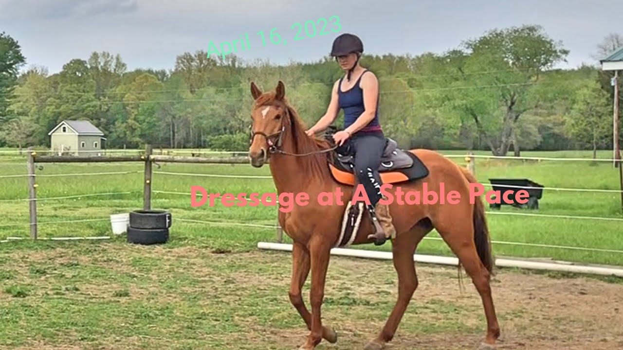 Back to riding! OTTB Re-training. Western Dressage - YouTube