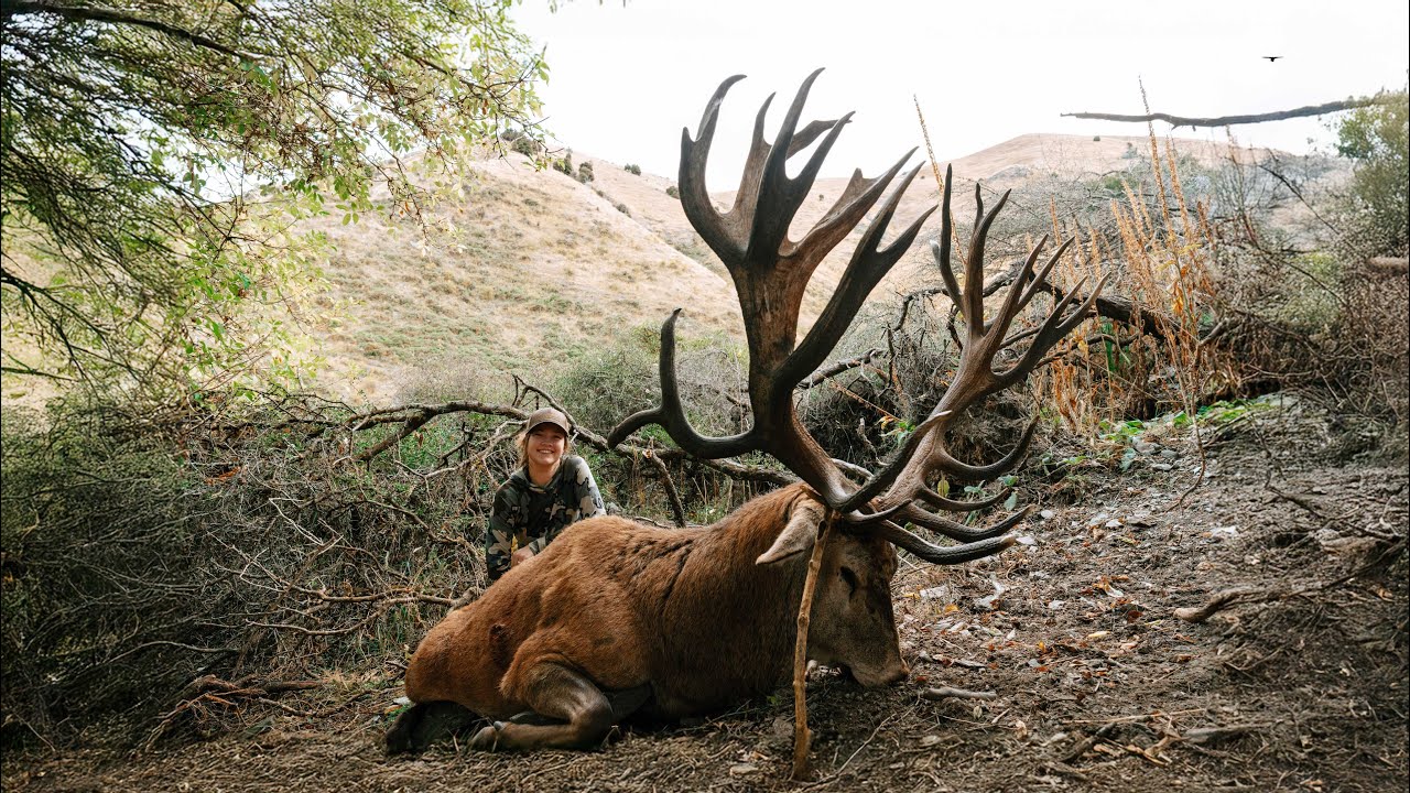 Venator New Zealand | Peyton's 500" Stag! - YouTube