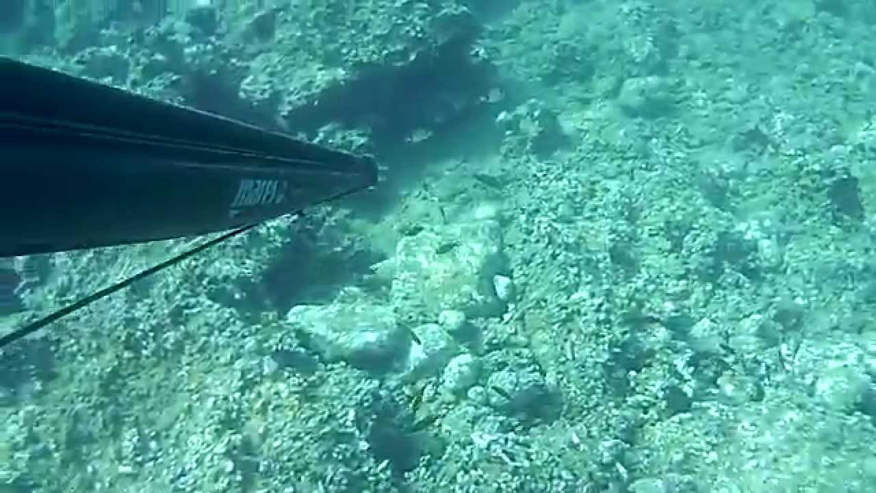 ψαροντουφεκο μουγκρι - YouTube