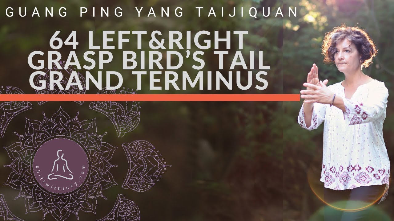 Movement 64 Guang Ping Yang Taijiquan Right and Left Grasp Bird's Tail ...