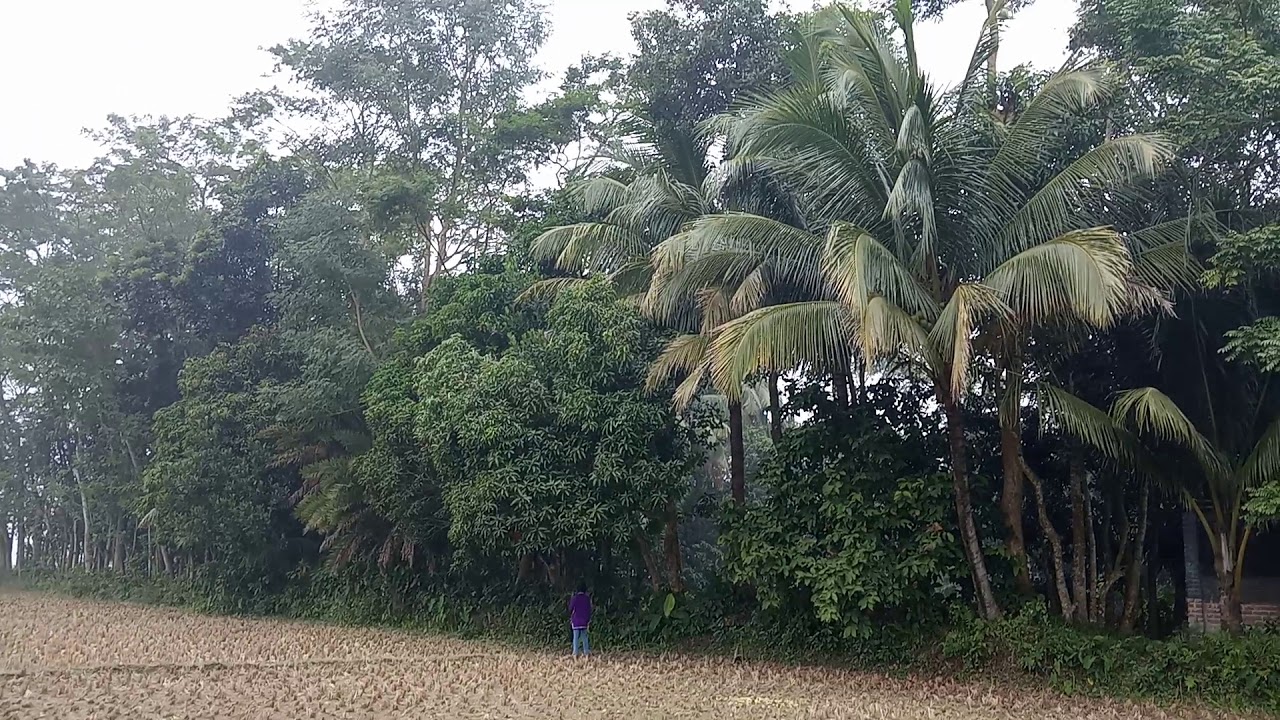 Aj dhaner khete // bangla song - YouTube