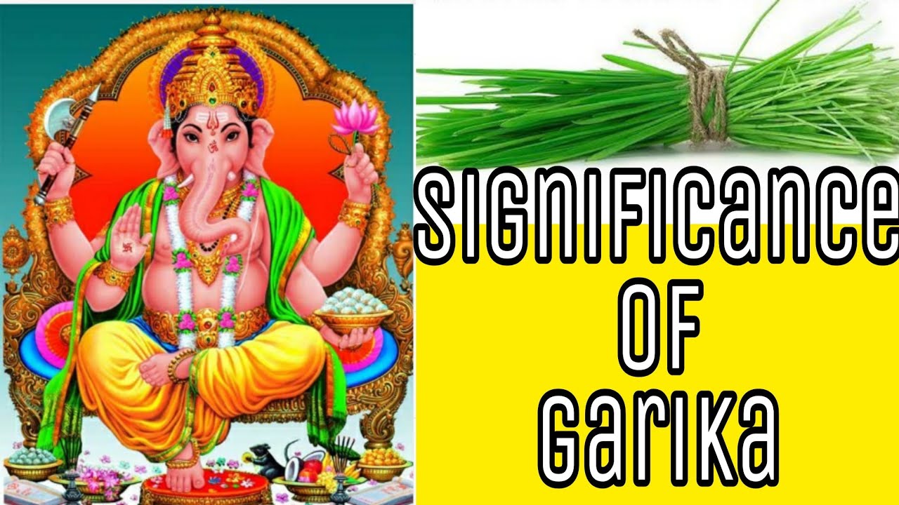 Garika significance | significance of durva in ganesh puja ...