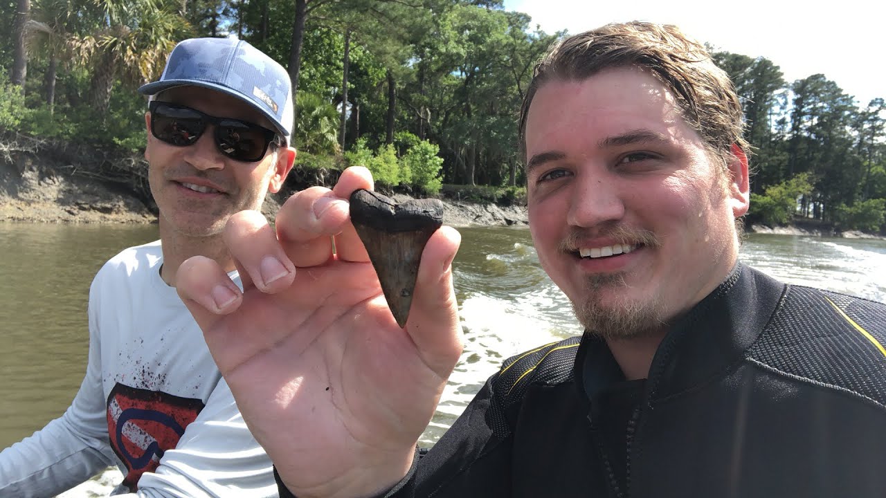 Hunting for Shark Teeth - YouTube