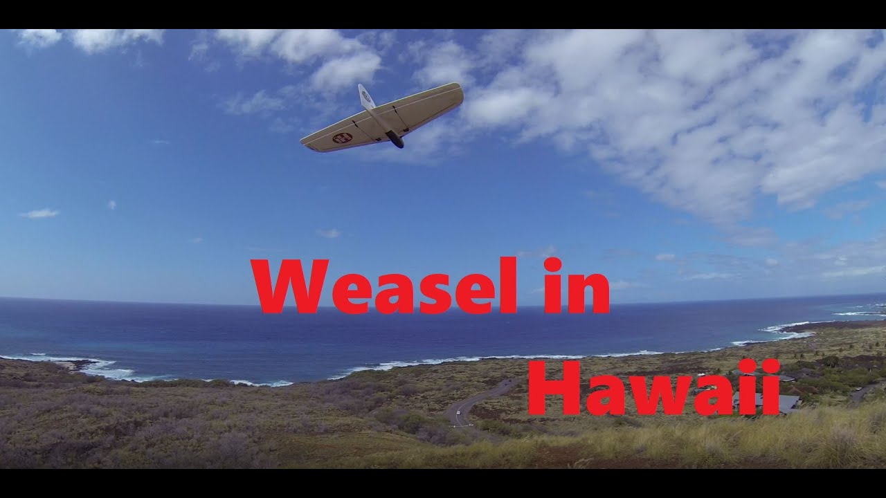Weasel Maiden - Kona Hawaii #mavicmini - YouTube
