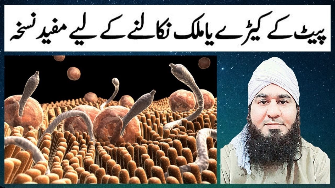 Peet Ke Keere Ya Malap Nikalne Ke Liay Mufeed Nuska - Hafiz Hakeem Umar Farooq TV - YouTube