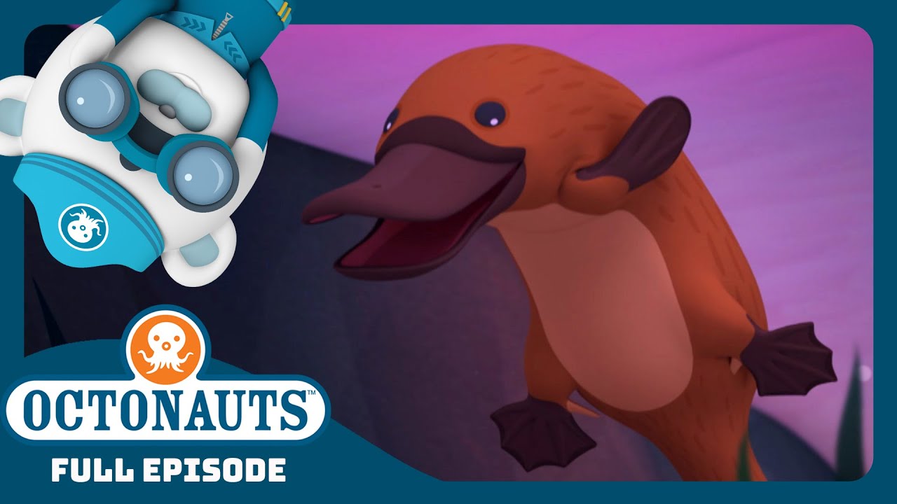@Octonauts - 🌊 The Duck-Billed Platypus 🦆 | Season 3 | Full Episode ...