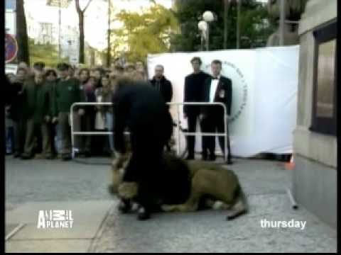 Untamed & Uncut - Commercial - YouTube