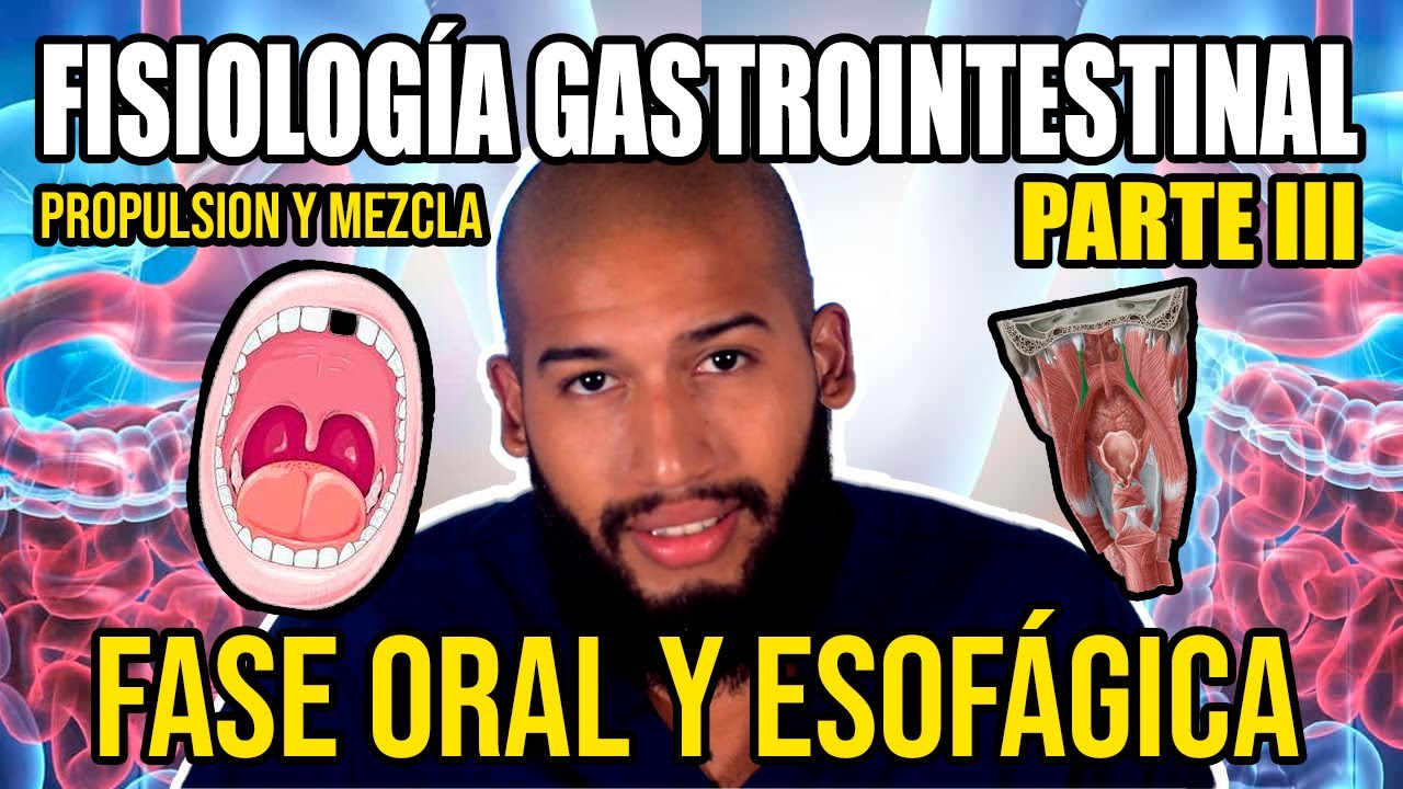 Fisiología GASTROINTESTINAL Pt. III - Fase Cefálica, Oral y Esofágica ...