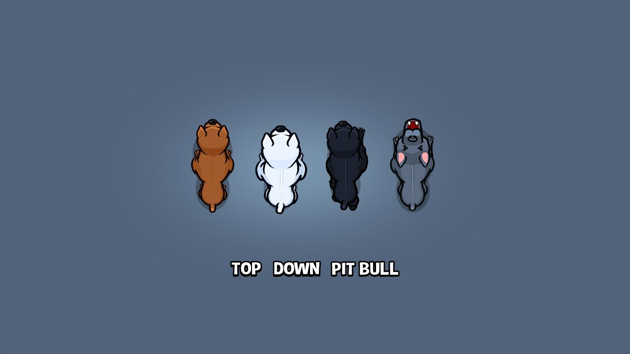 top down pit bull type dog game sprite - YouTube