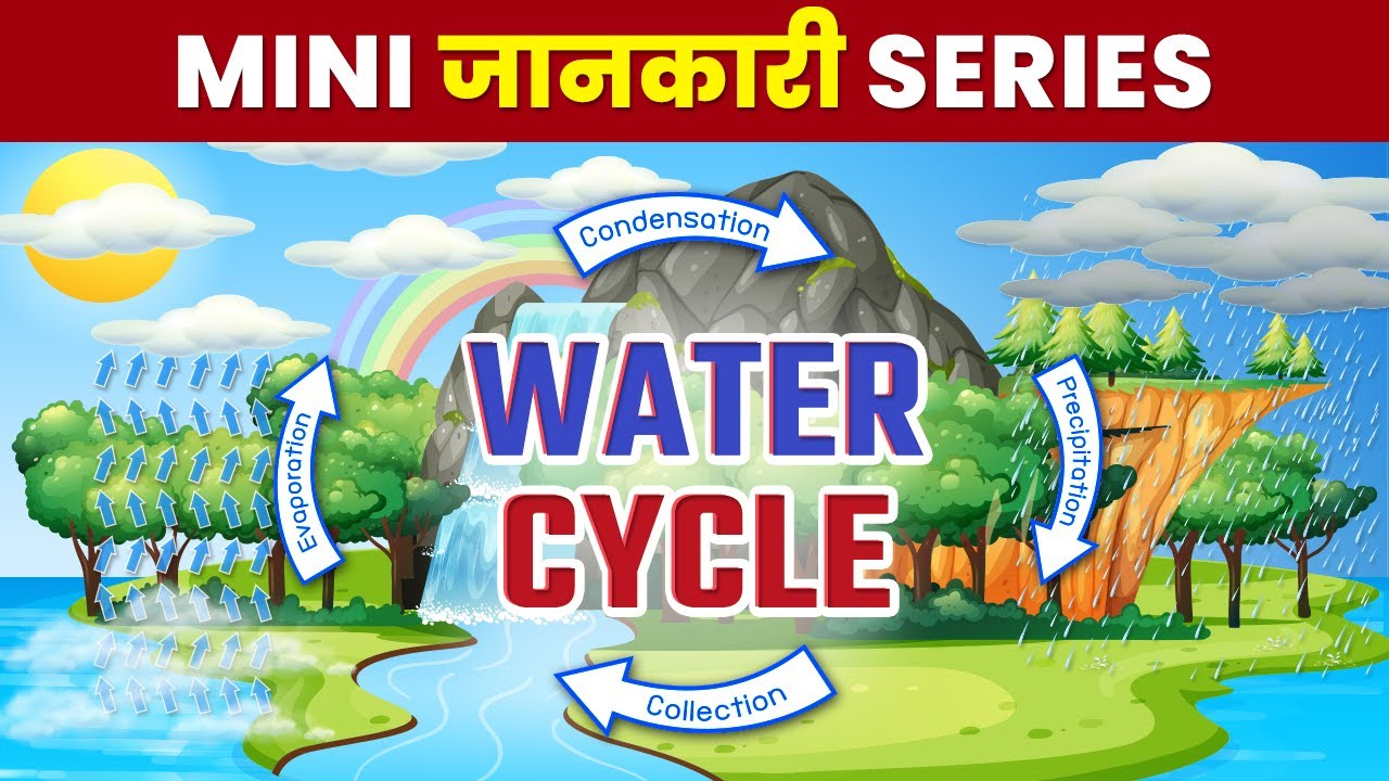 Water Cycle | How Is Rain Formed | What Is the Water Cycle? - YouTube