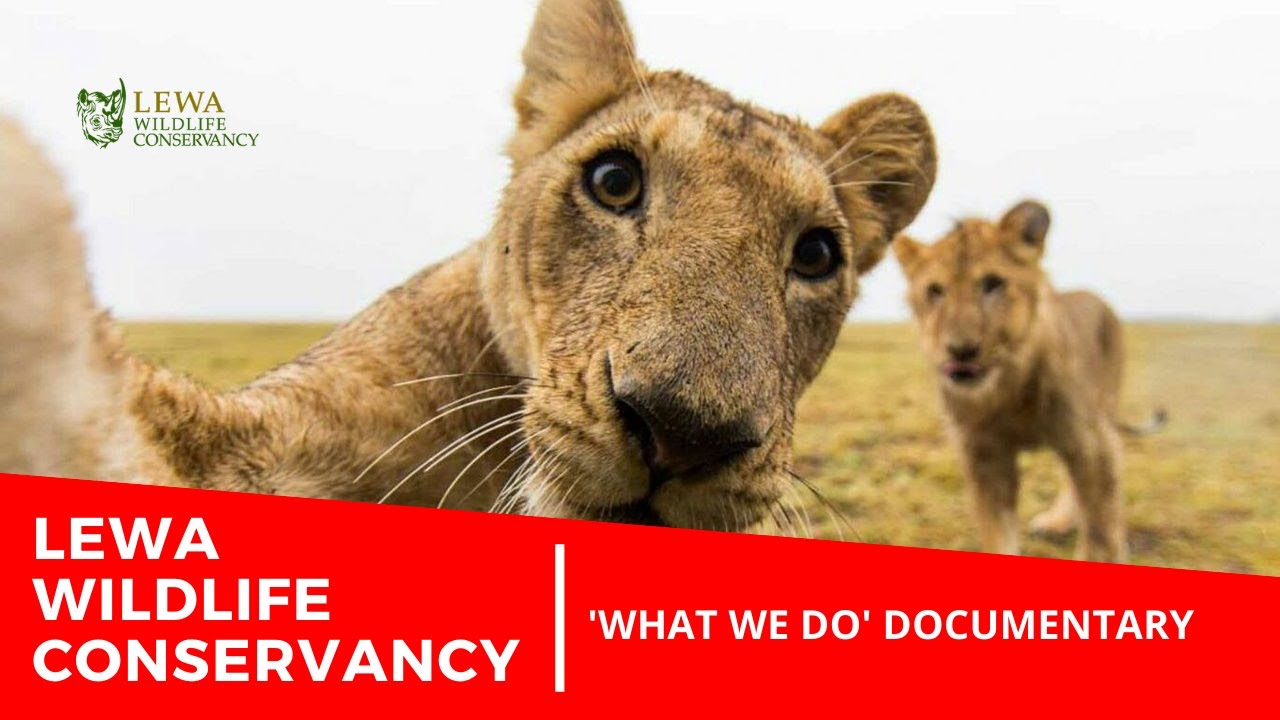 A Lewa Conservancy Documentary - What We Do - YouTube