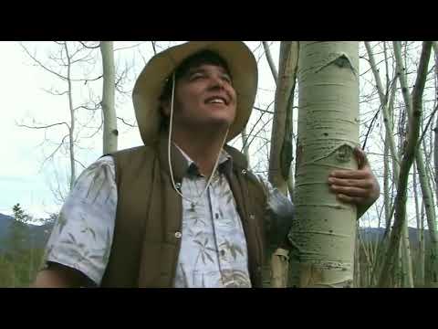 Neature Walk Episode 3 - YouTube