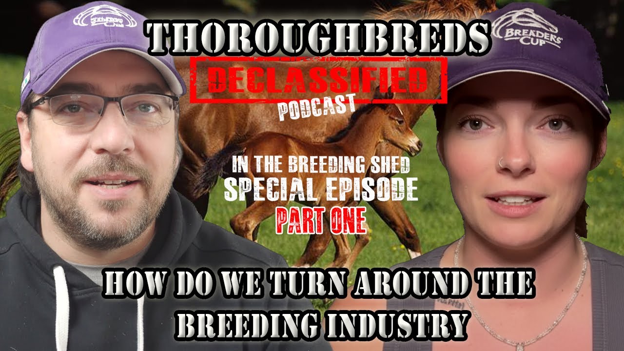 The Future of Thoroughbred Breeding: Navigating the Decline in Foal ...