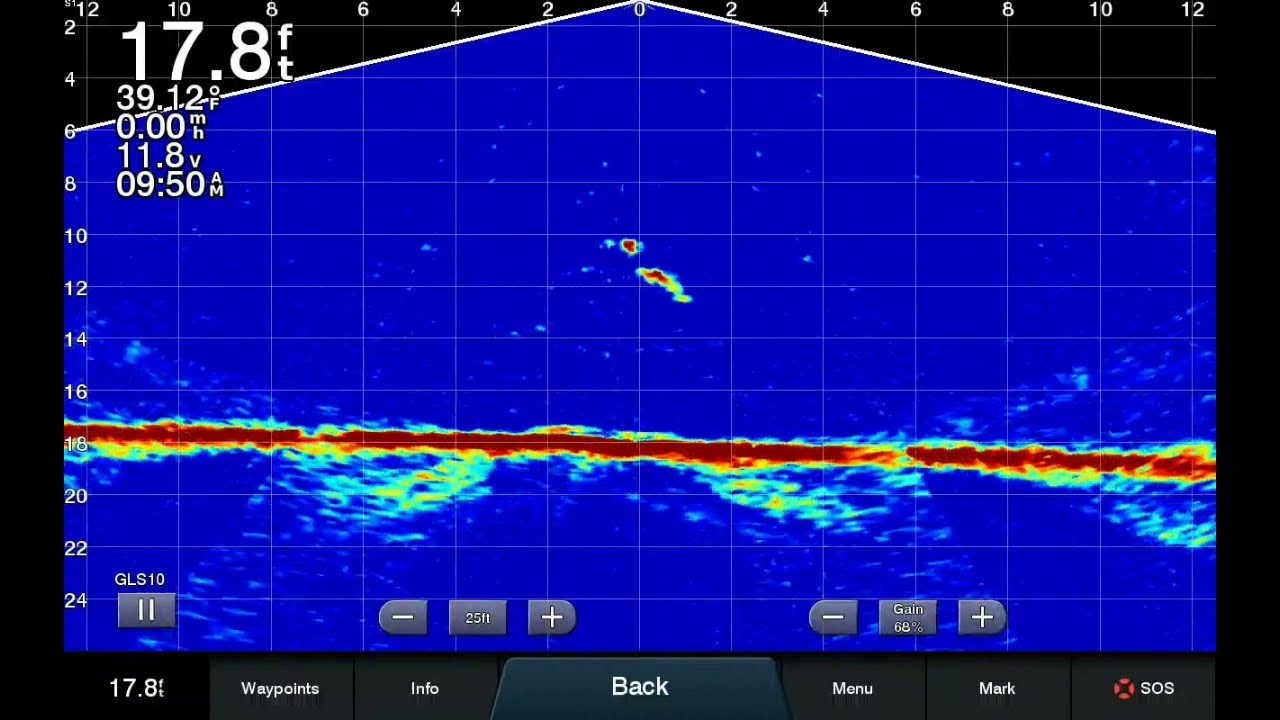 Big fish action on Livescope - Part 2 (24 Inch Walleye) - YouTube