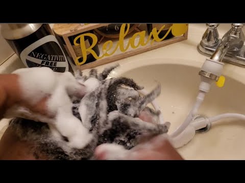 ASMR 😴 Satisfying Shampoo & hair wash for Stress Relief | GUM CHEWING